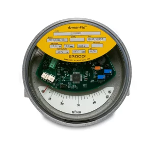 3600 Series Armor-Flo™ Flow Rate Meter with Transmitter