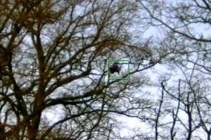 Chess Dynamics successfully demonstrates Vision4ce AI-driven tracker